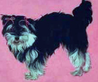 A Conversation with Alice Burdick