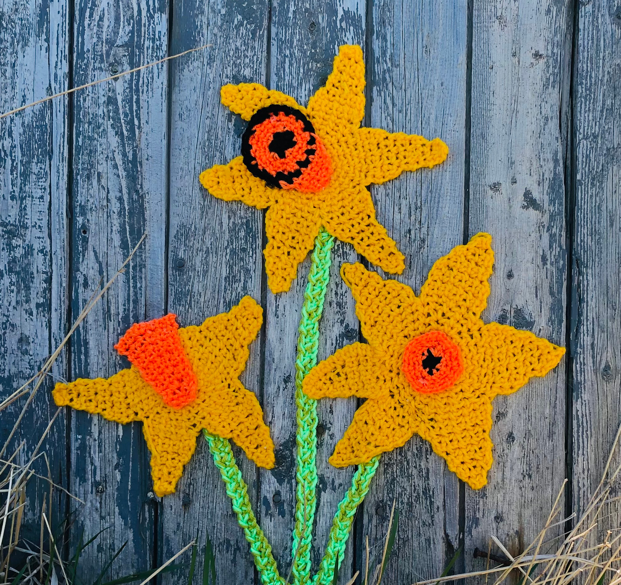 Entangled in Yarn(bombs)